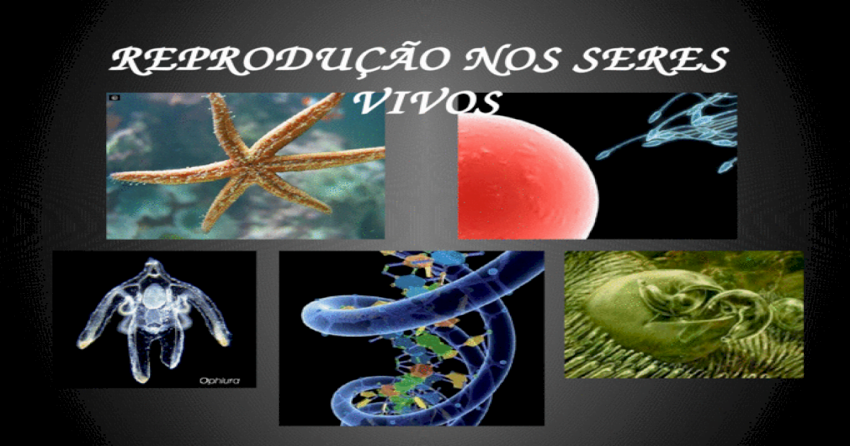 Quiz - Atividade Sobre Reprodução Dos Seres Vivos - 9º Ano - Meu Quiz